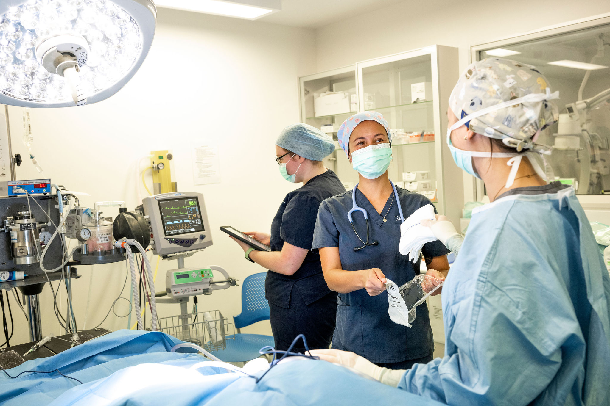 Emergency Vets & Animal Hospitals in Brisbane - Open 24Hrs